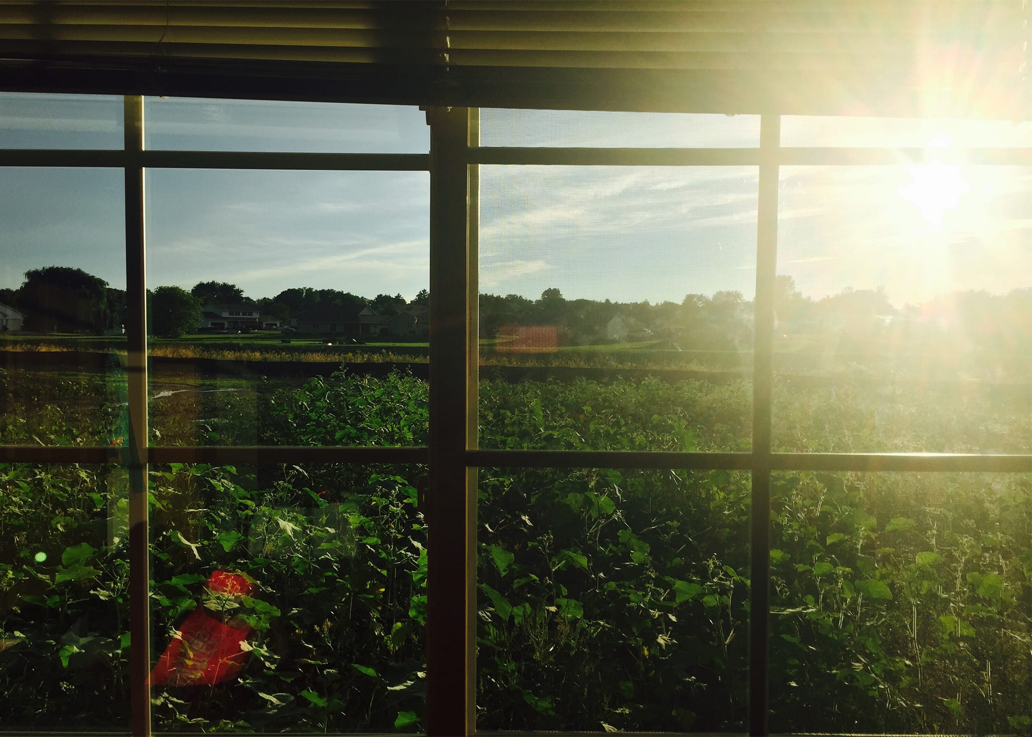 Heat Reducing Window Film is Huge for Homes